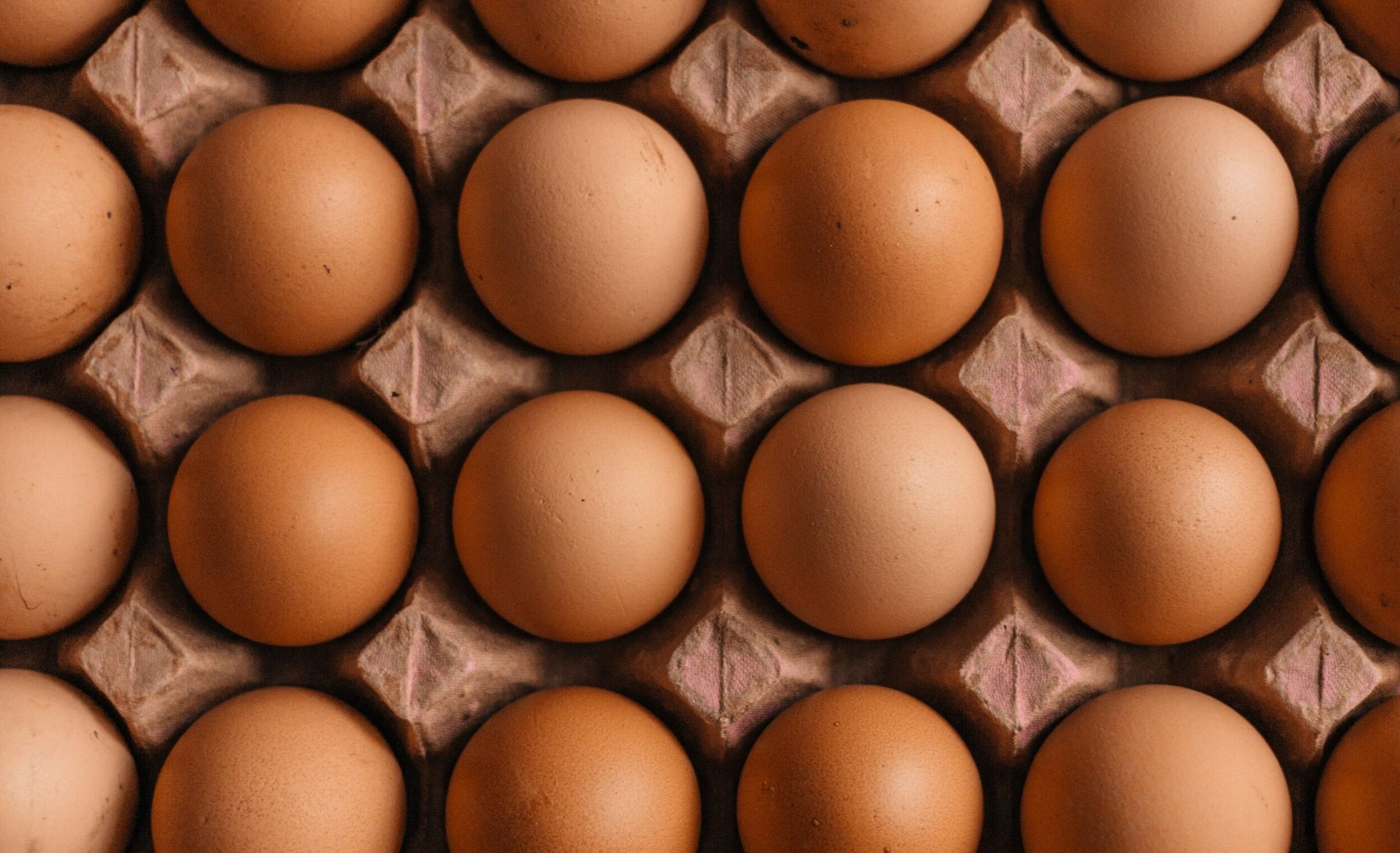 Rising Costs in Nepal's Egg Production | News Detail | ShareHub